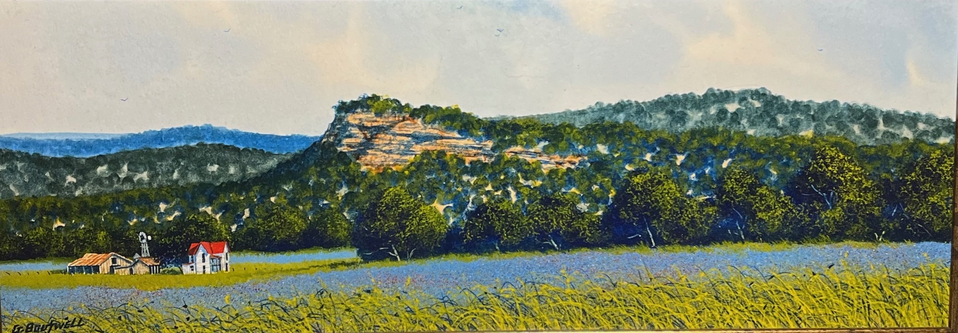 George Boutwell, Texas artist