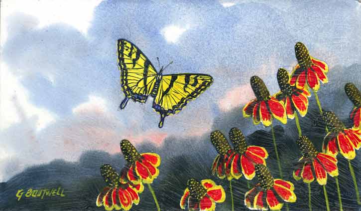 George Boutwell, Texas artist