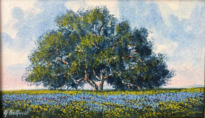 George Boutwell, Texas artist