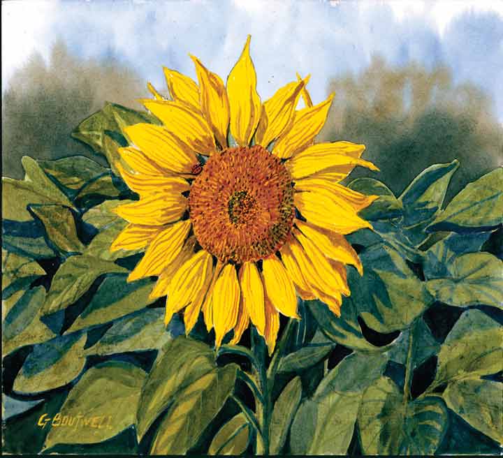 George Boutwell, Texas artist